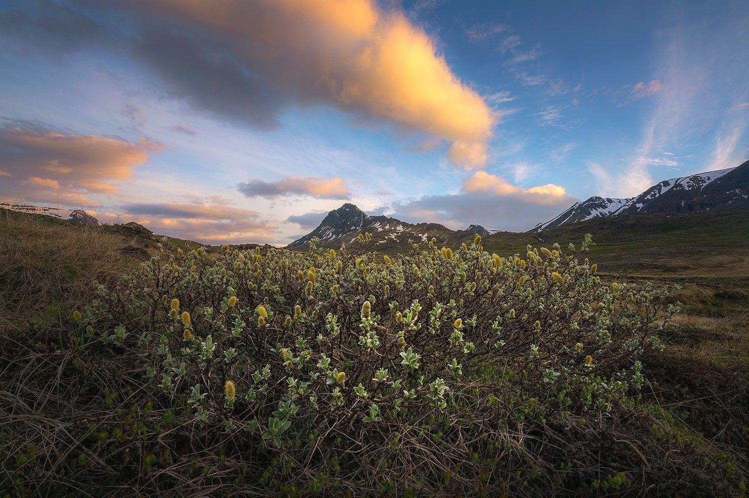 Presetpro | HDR Photography - Icelandic Landscape