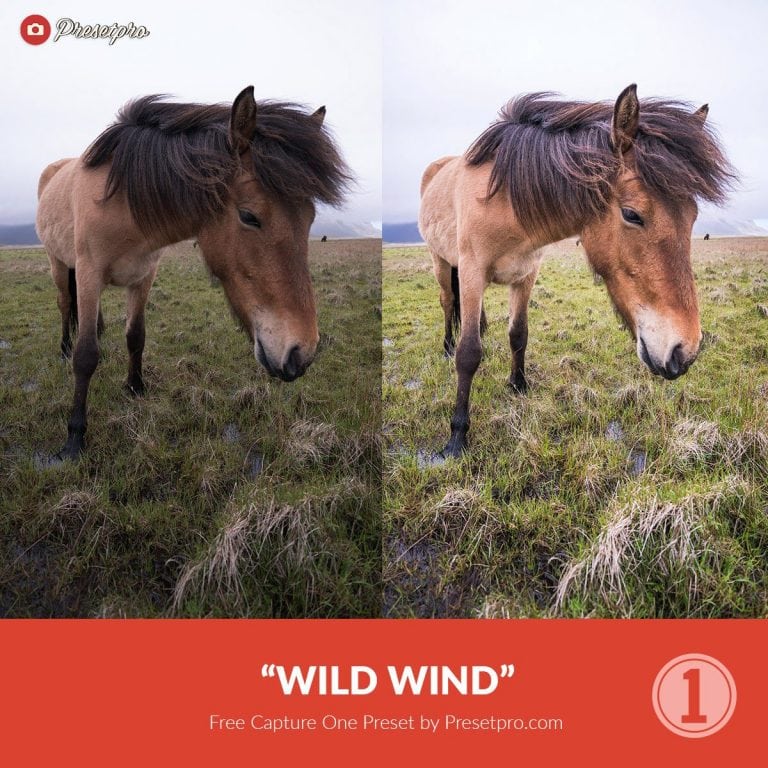 Ultimate FREE Capture One Preset Collection 2020 - Presetpro.com
