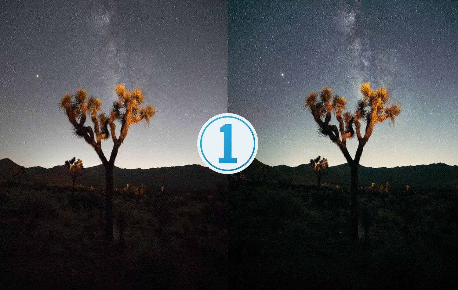 Ultimate FREE Capture One Preset Collection 2020 - Presetpro.com