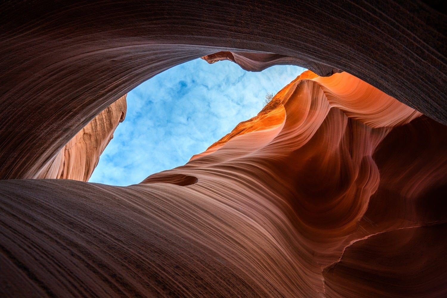 Photography | Looking to the sky from within - Presetpro.com