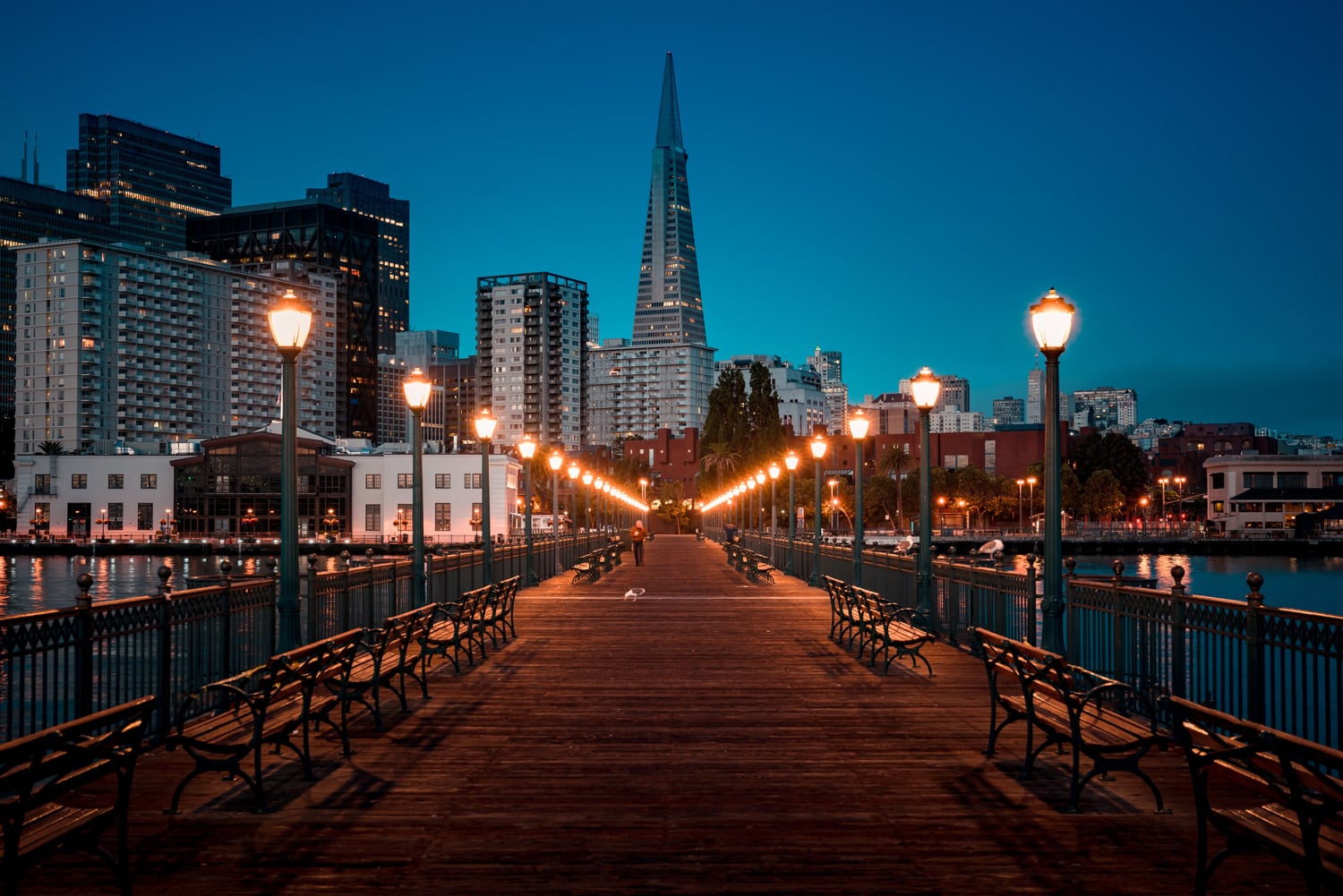 Capturing the Beauty of Pier 7 in San Francisco: Night Photography