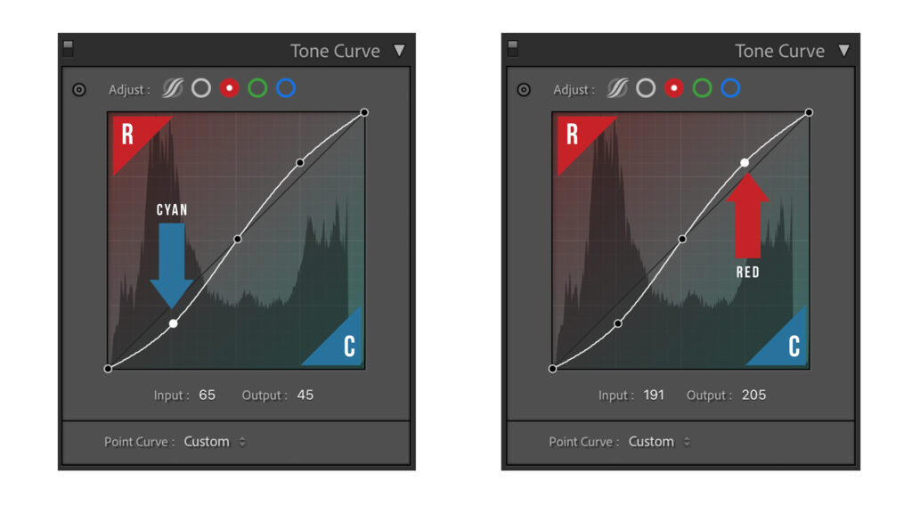 How to Master Tone Curves in Lightroom