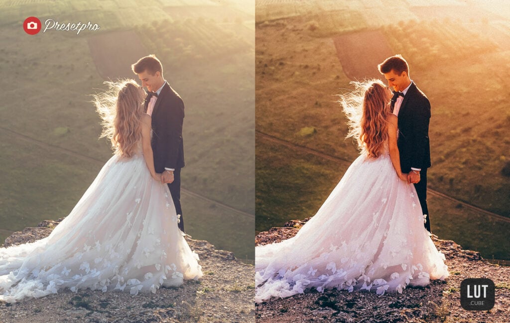 The Best Free LUTs Lookup Tables for Color Grading in 2022