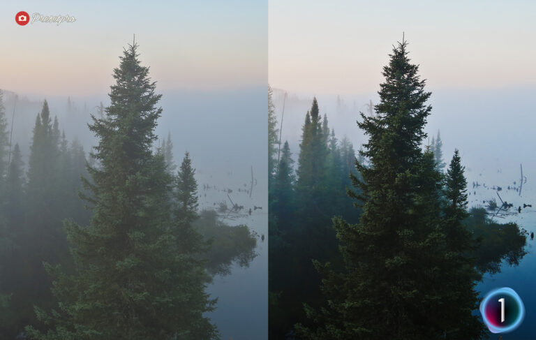 The Ultimate FREE Capture One Preset Collection