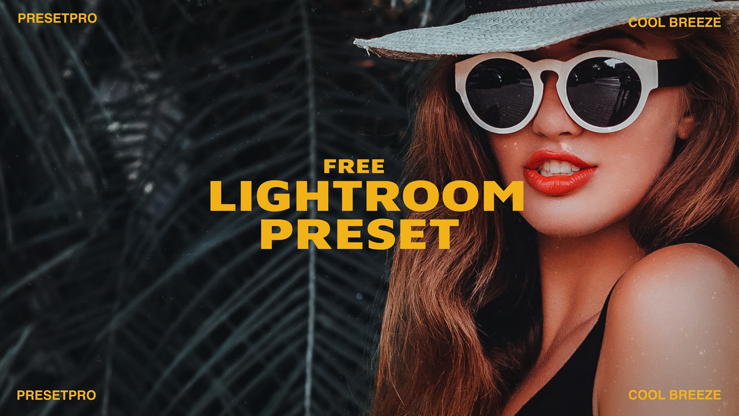 Free Lightroom Preset "Cool Breeze" Presetpro.com