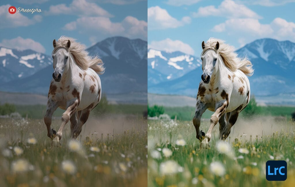 The Ultimate FREE Lightroom Preset Collection for Portraits