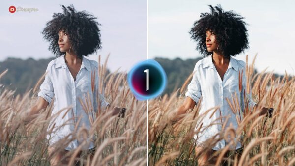 Best Free Capture One Styles in 2024 - Presetpro.com