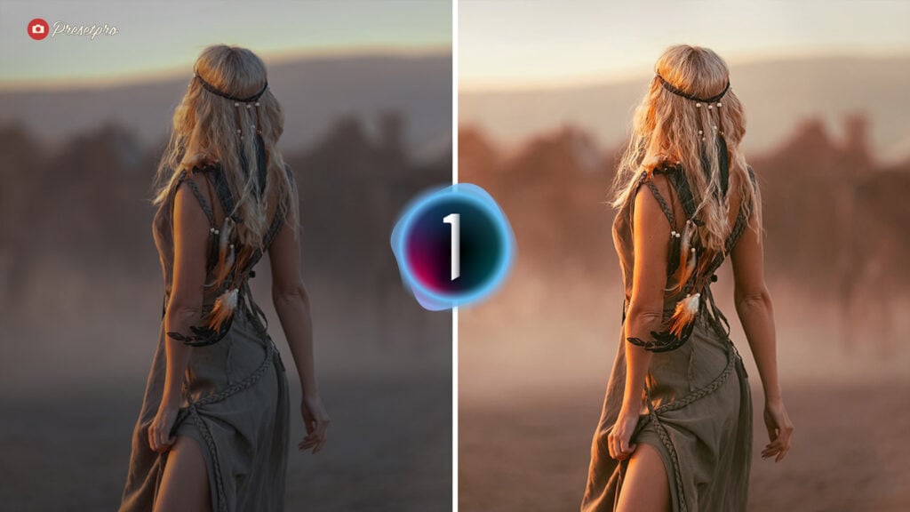 Best Free Capture One Styles in 2024 - Presetpro.com