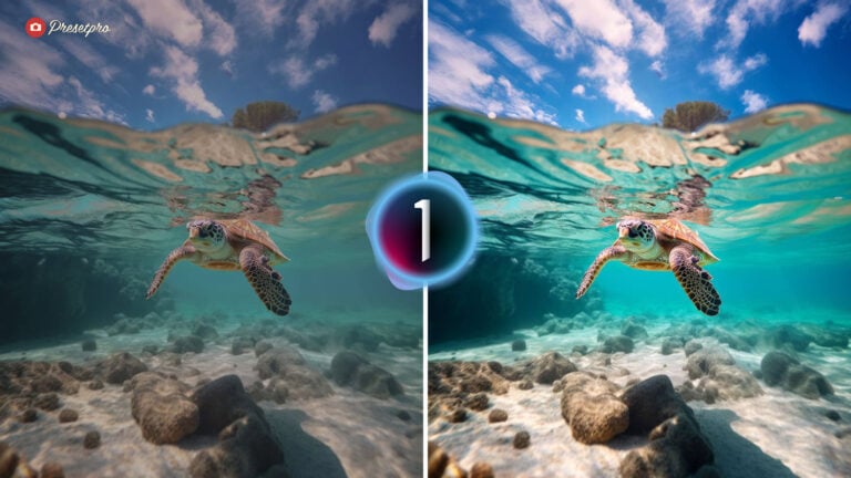 Best Free Capture One Styles in 2024 - Presetpro.com