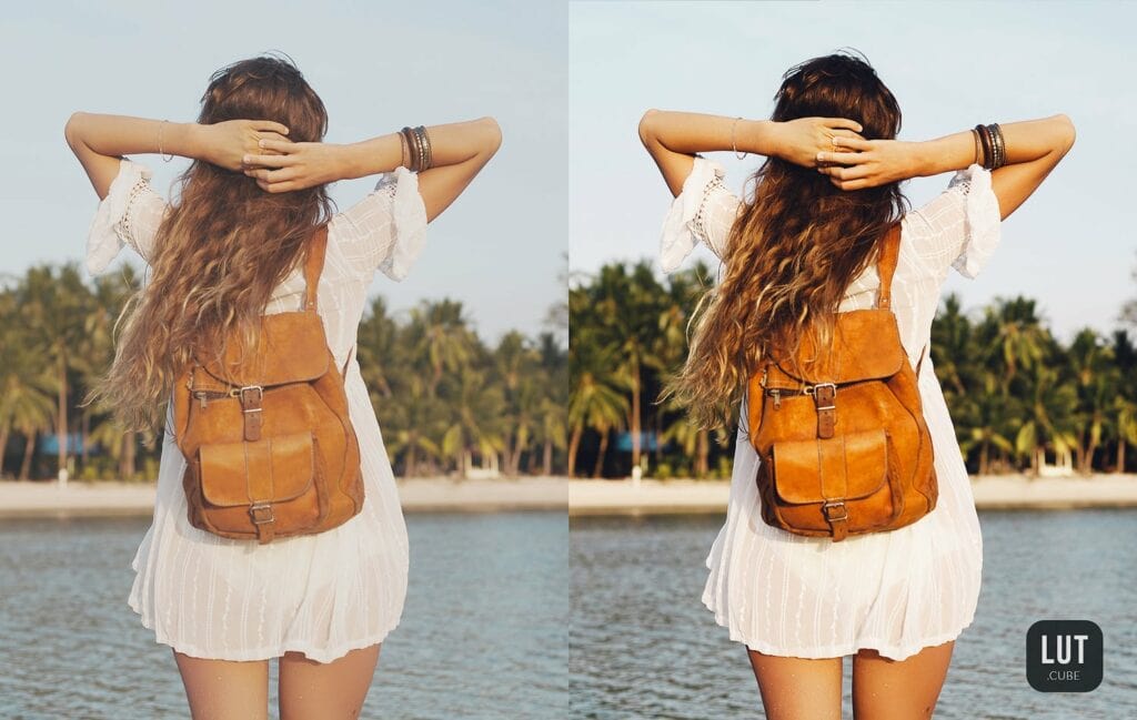 Best Free LUTs Lookup Tables in 2024 - Presetpro.com