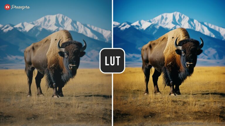Best Free LUTs Lookup Tables in 2024 - Presetpro.com