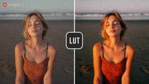 Best Free LUTs Lookup Tables in 2024 - Presetpro.com