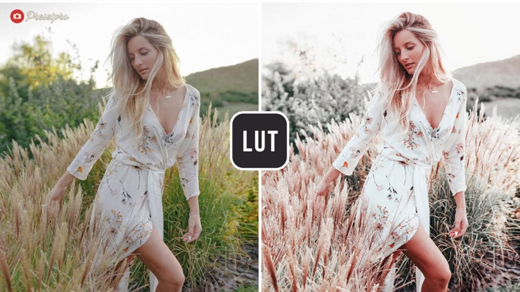 Best Free LUTs Lookup Tables in 2024 - Presetpro.com