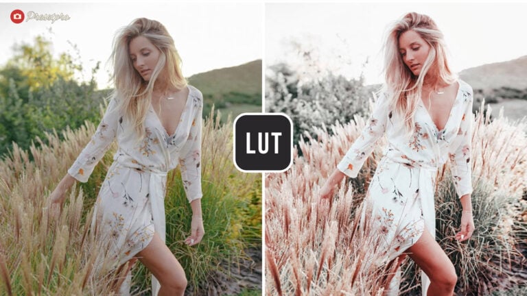 Best Free LUTs Lookup Tables in 2024 - Presetpro.com