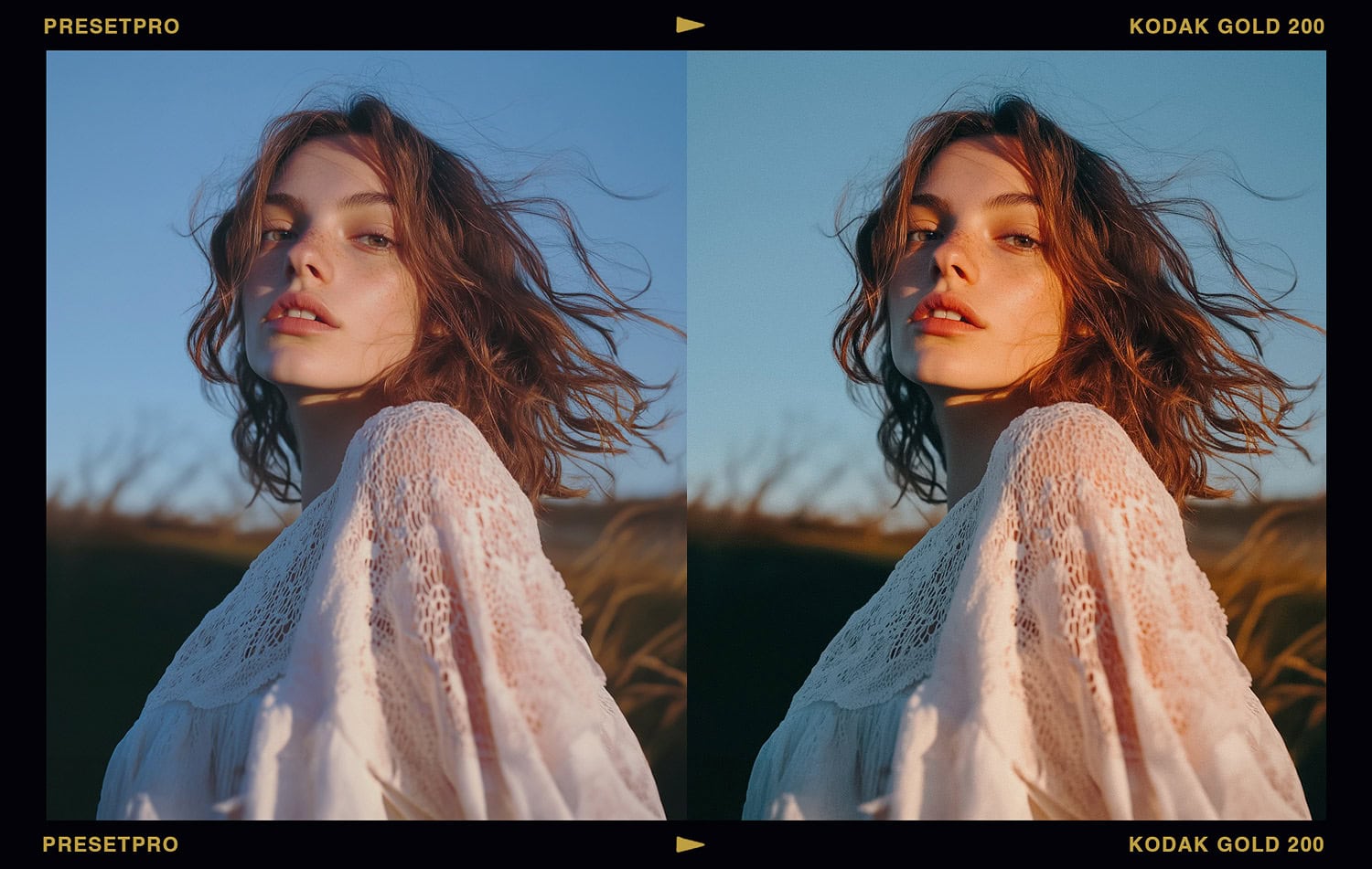 Understanding Kodak Gold 200 Film: An Informative Podcast