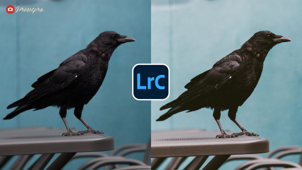 The Ultimate Free Film Emulation Lightroom Preset Collection
