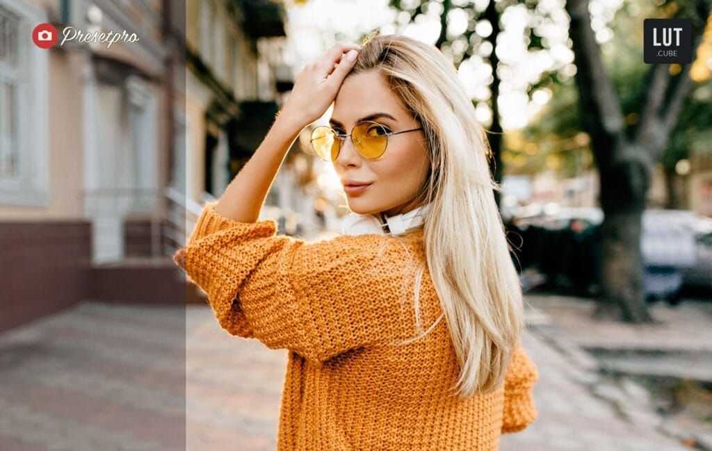The Ultimate FREE Color Grading LUT Collection Presetpro.com