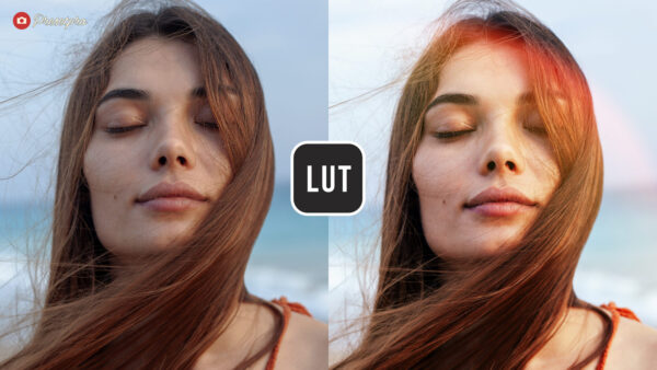 The Ultimate FREE Color Grading LUT Collection Presetpro.com